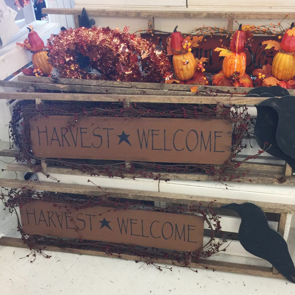 Fall & Halloween Items from Here Today - CurlyCraftyMom.com